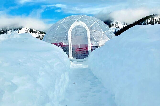Silvaras Winter Igloo Wine Experience - Final Thoughts: Is It Worth It?