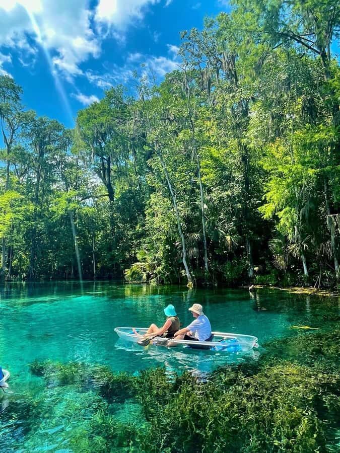 Silver Springs: Clear Kayak Eco-Tour with Manatee Viewing - The Itinerary and What You Can Expect