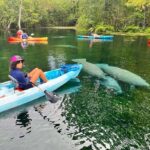 Silver Springs: Kayak or SUP Rental with Shuttle - Why This Tour Works Well