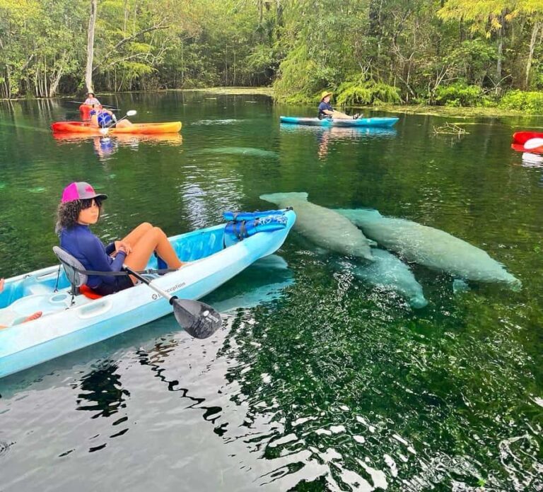 Silver Springs: Kayak or SUP Rental with Shuttle - Why This Tour Works Well