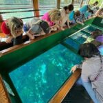 Silver Springs Orlando: Small Group Manatee Season Day Trip - Introduction: A Day Away from the Orlando Hustle