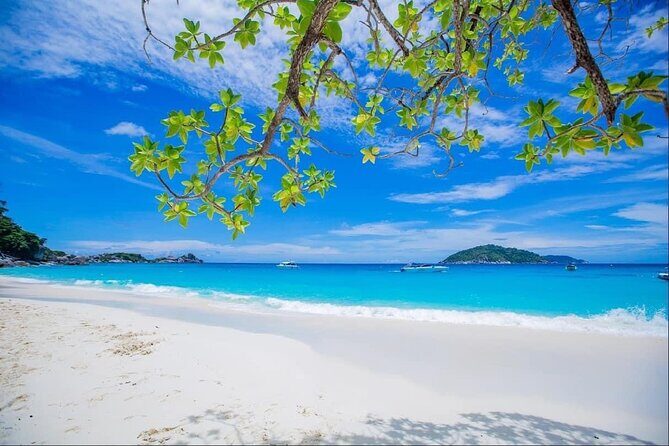 Similan Island tour by Speed boat from Phuket - What’s Included and What’s Not