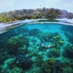 Similan Islands: Cruise & Marine Exploration from Khao Lak - What Makes This Tour Stand Out?