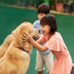 Singapore 3 Park Explorer Pass: Zoo, River Wonders, Bird Paradise - Practical Tips for Your Visit