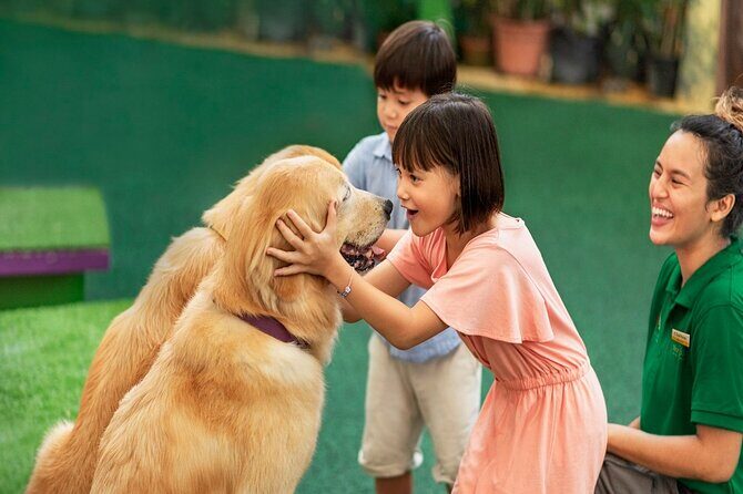 Singapore 3 Park Explorer Pass: Zoo, River Wonders, Bird Paradise - Practical Tips for Your Visit