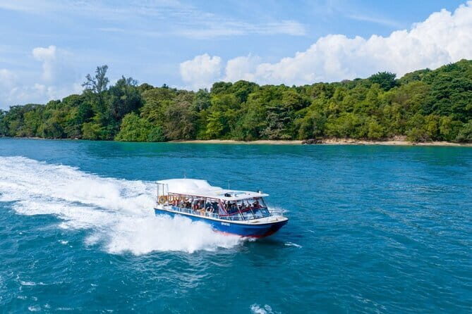 Singapore - Albatross Speedboat Adventures Cruising in Sentosa - What Makes This Tour Special?
