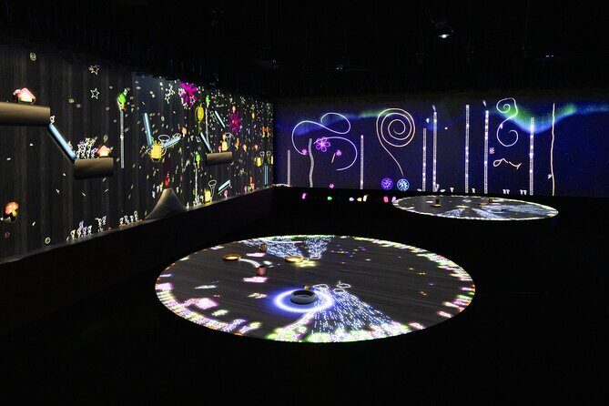 Singapore ArtScience Museum Admission Ticket - What to Expect at Each Part of the Tour