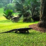 Singapore: Botanic Gardens & Tiong Bahru Walk w/Breakfast - Exploring the Architectural Heritage: Black & White Houses