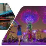 Singapore Guided Night Tour with 2 Light Shows & River Cruise - Possible Drawbacks & Considerations