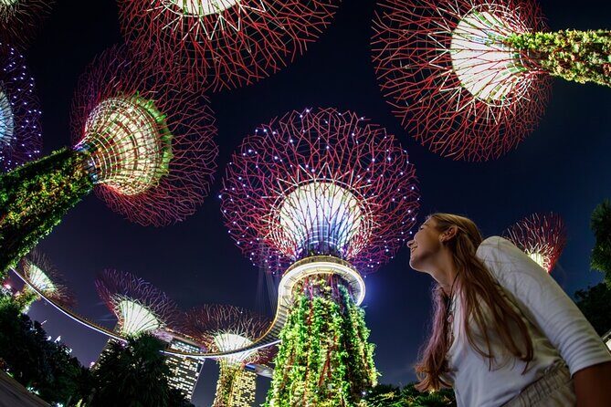 Singapore in Motion: Flyer, River and Garden - Who Will Love This Tour?