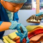 Singapore Kidzania Admission Ticket - Pricing and Value