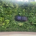 Singapore Night Safari Entrance Ticket with Tram Ride - Who Will Love the Singapore Night Safari?