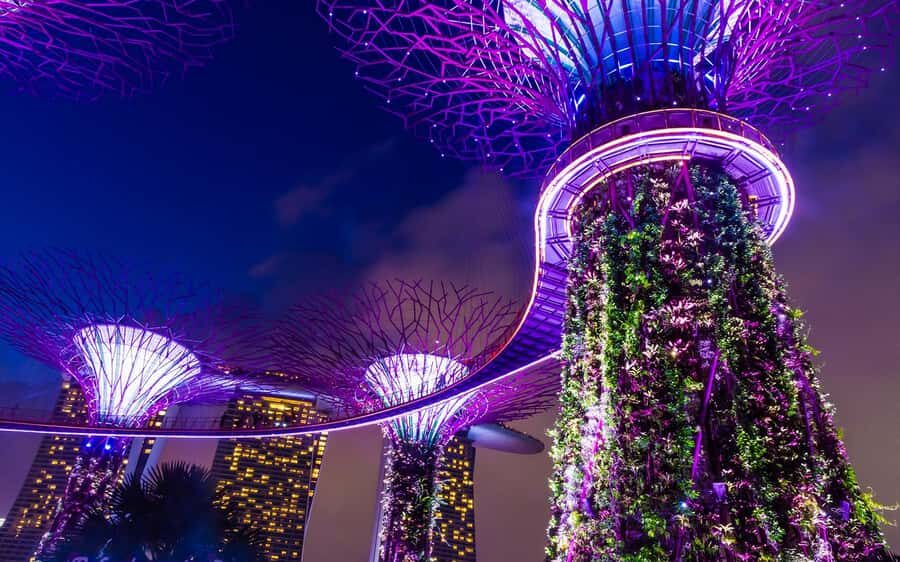 Singapore: Night Tour with River Cruise & Light Shows - Why This Tour Is Worth Your Time
