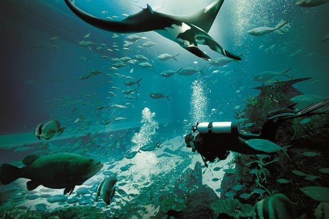 Singapore : Ocenarium One Day Ticket only - Final Thoughts