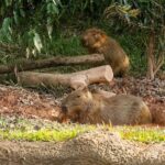 Singapore: River Wonders - Who Should Visit River Wonders?