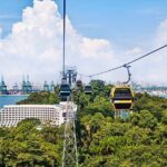 Singapore Sentosa Cable Car Return Ticket: 1 Flex Entry in 7 Days - Practical Tips for Your Ride