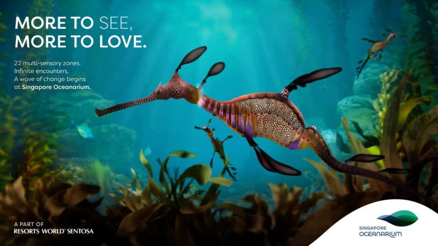 Singapore: Singapore Oceanarium Entrance Ticket - Discovering the Singapore Oceanarium: What Travelers Can Expect