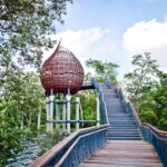 Singapore: Sungei Buloh Wetland Reserve Private Tour - What Makes the Reserve Special?