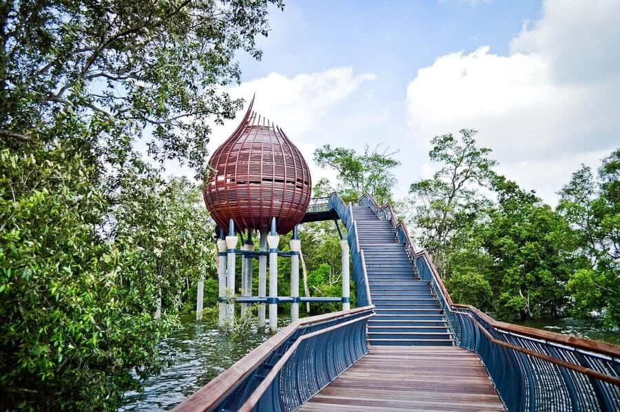 Singapore: Sungei Buloh Wetland Reserve Private Tour - What Makes the Reserve Special?