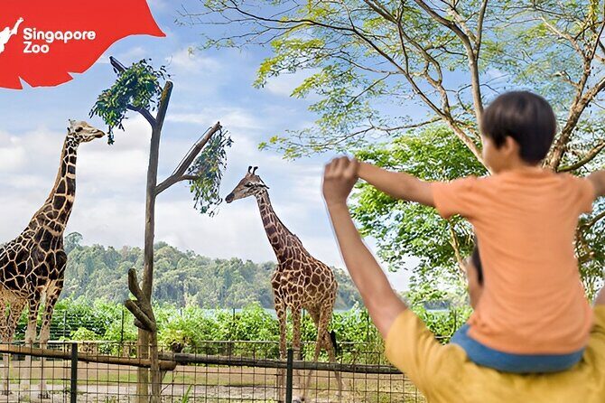 Singapore Zoo Entry Ticket - What Makes the Singapore Zoo Stand Out?