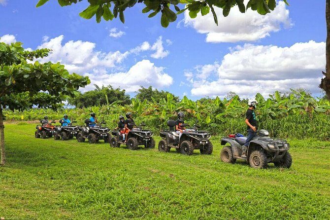 Single ATV Experience: Free Piña Colada + Hacienda Transfer - What the Reviews Say