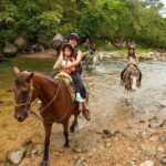 Single ATV, Ziplines, Horseback and Waterfall with Open Bar - Who This Tour Is Best For