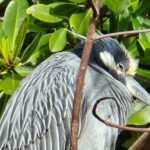 Single Kayak Rentals at The Bay - Who Will Love This Experience?