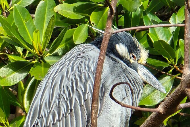 Single Kayak Rentals at The Bay - Who Will Love This Experience?