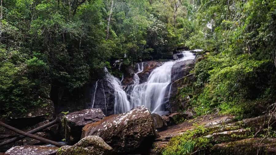 Sinharaja Rain Forest (UNESCO) & Eco 3-Day Tour with Hotel - What Makes This Tour Stand Out?