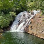 Sinharaja Rainforest: Nature Tour with Local Guide - Why This Tour Offers Good Value
