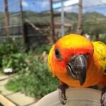 Sint Maarten Island Private Tours - Why This Tour Works Well