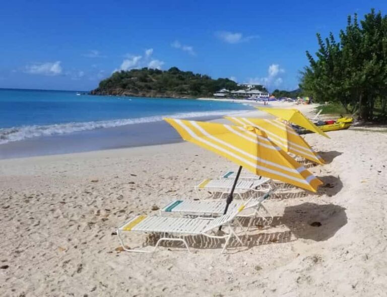 Sip & Paint with lunch on exciting Ffryes Tiki beach Bar - What Travelers Love (and What They Don’t)