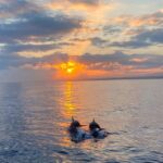 Sip & Sunset - BYOB Adults Only Dolphin Cruise - Practical Tips: Making the Most of Your Cruise