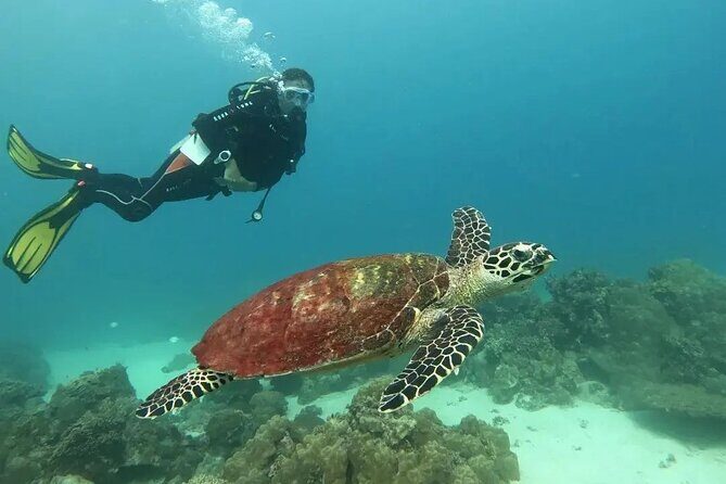 Siquijor Scuba Diving for Beginners - Final Thoughts: Who Should Consider It?