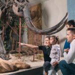 Skip-the-line Denver Museum of Nature & Science Private Tour - Who Should Consider This Tour?