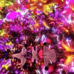 Skip the Line TeamLab Planets Ticket including Tokyo Hotel Pickup - How Long Does It Last and What Does It Cost?