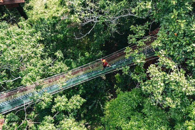 Sky Rock Khaolak Jungle Adventure: Zipline Thrills & Nature - How Does the Tour Offer Value?