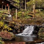 Slurp & Stroll: Kyotos Ramen Alley and Mountain Retreats - Transportation, Timing, and Group Size