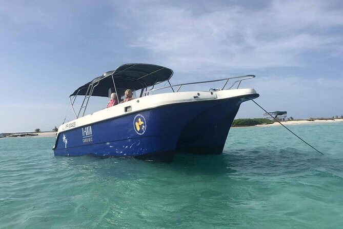 Small Day Cruise (Ilet caret, mangrove, coral reef - Practical Details and Value