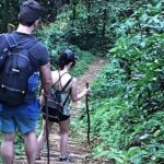 Small-Group Adventure Trek in Grand Etang National Park - What Travelers Say About the Tour