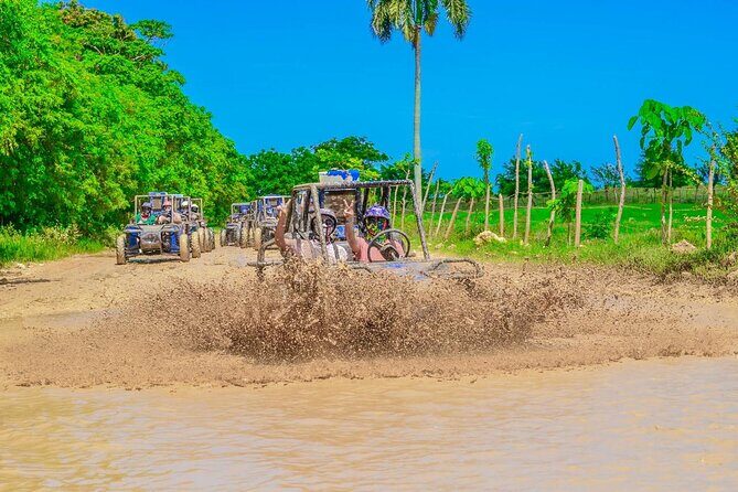 Small Group ATV and Buggy Tour - Who Will Love This Tour?