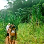 Small-Group El Yunque Rainforest Vivid Day Tour with Transport - Waterfalls, Cliff Jumps, and Rope Swings