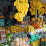 Small Group: Half-Day Cultural Tour of Punta Cana - Transportation and Group Size