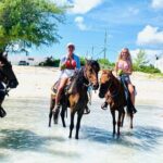 Small Group Horseback Riding Adventure in Caicos Islands - The Ride Itself: Beauty, Waters, and Camaraderie