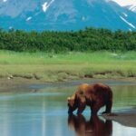 Small Group Shore Excursion in Sitka end to end - Summing Up: Is This Tour Right for You?