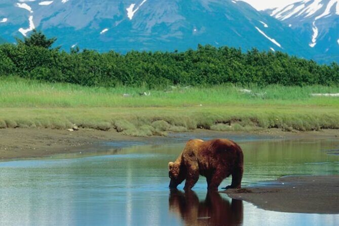 Small Group Shore Excursion in Sitka end to end - Summing Up: Is This Tour Right for You?