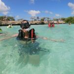 Small Group Snorkeling at Mangel Halto Aruba - The Sum Up