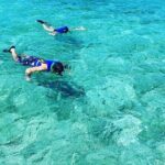 Small-Group Snorkeling Experience at Sea Garden - The Group Dynamic and Personal Touch