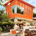 Small Group Tour for Jeju Autumn Snoopy Garden and Tangerine Cafe - Practical Details and Logistics