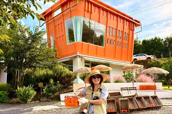 Small Group Tour for Jeju Autumn Snoopy Garden and Tangerine Cafe - Practical Details and Logistics